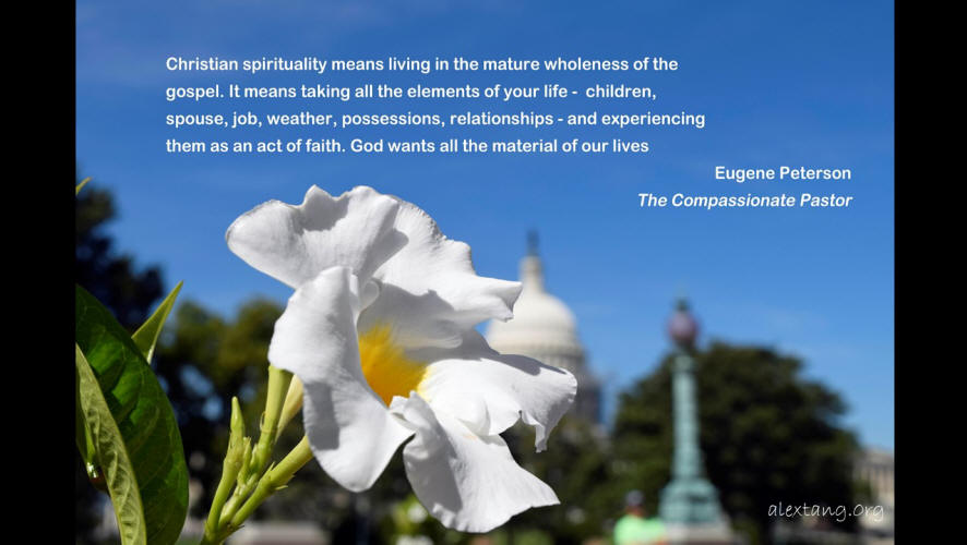 Some Of My Favourite Quotations